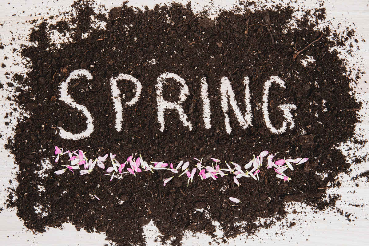 Pretty Posh Things Spring Wellbeing Tips